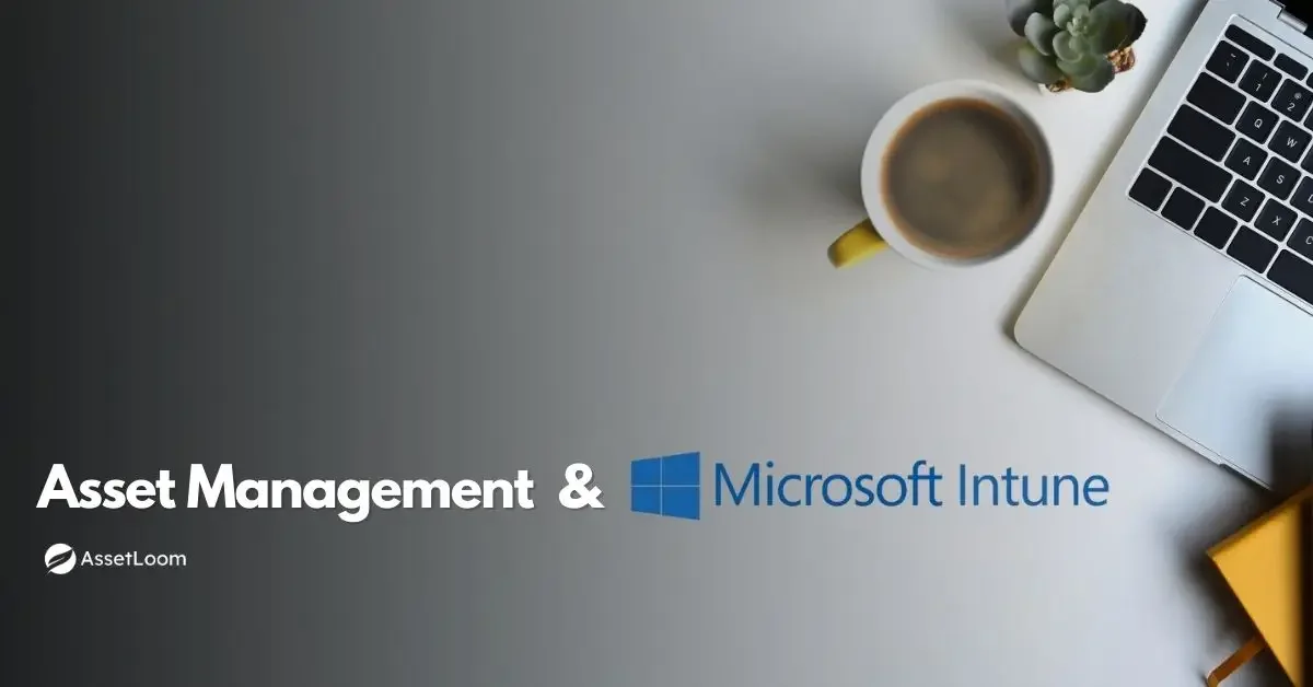 Microsoft Intune Asset Management: Yes or No?
